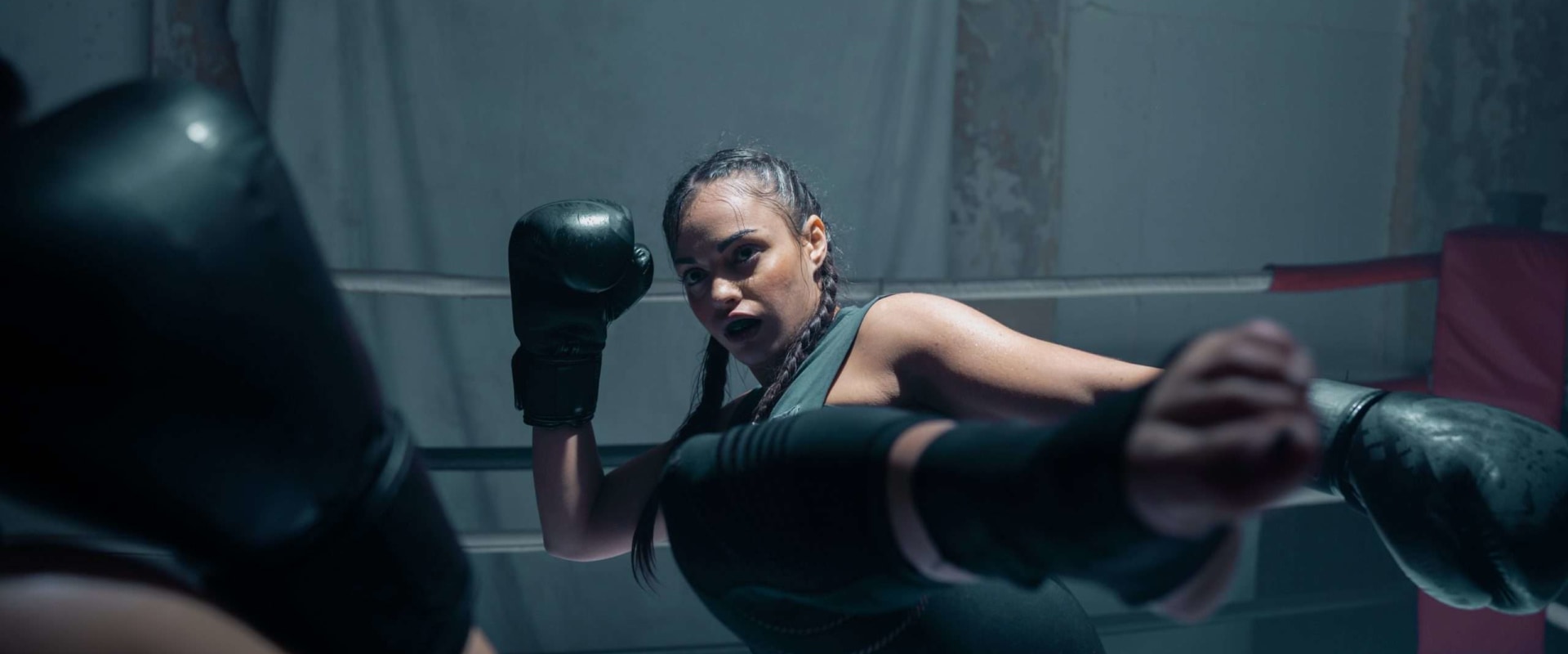 Understanding the 'Fight or Flight' Response in MMA Fights